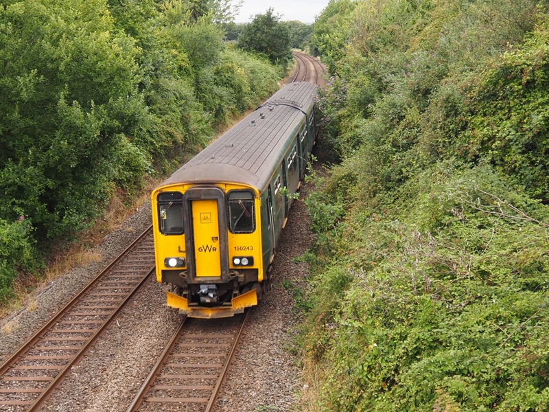 Concerns grow over lineside vegetation on network | Network Rail